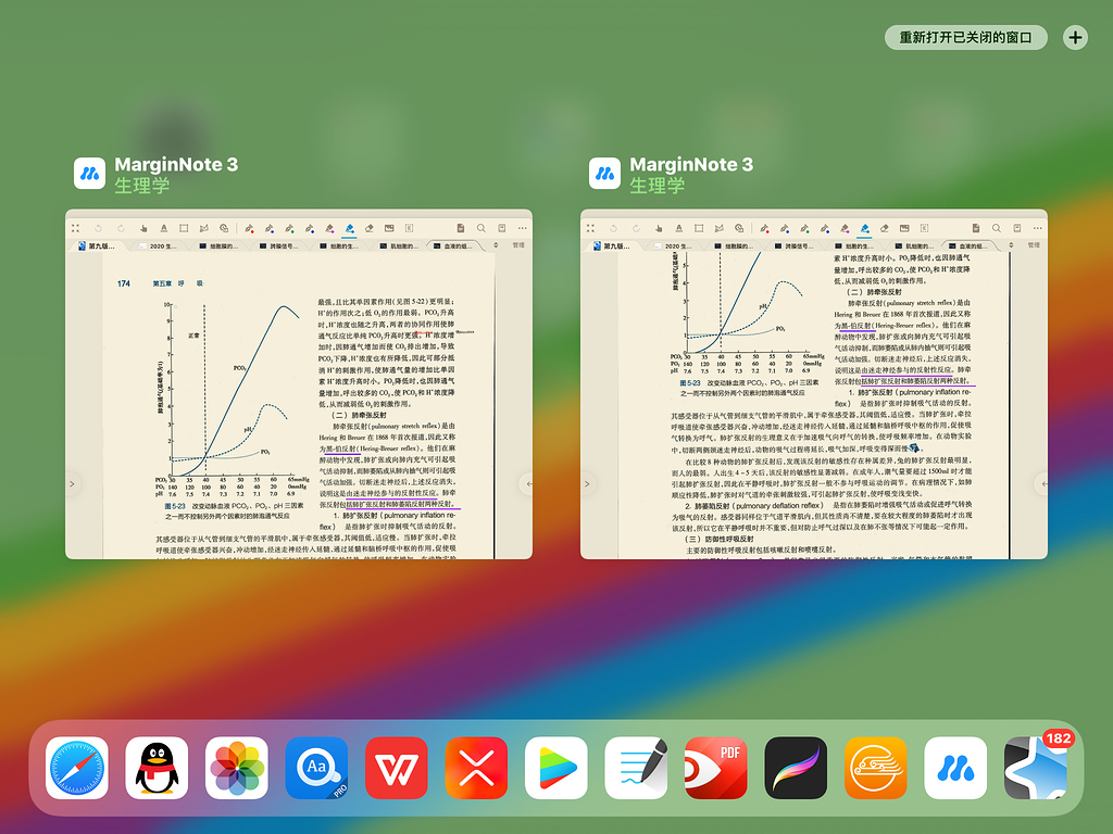 MN3创建新窗口 - iPadOS版本 - MarginNote 中文社区