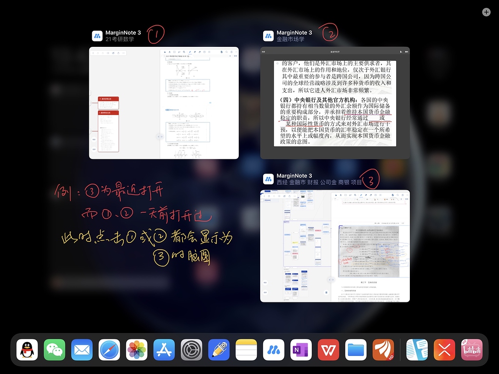 ipados打开多个实例，时间长了会失效 - iPadOS版本 - MarginNote 中文社区